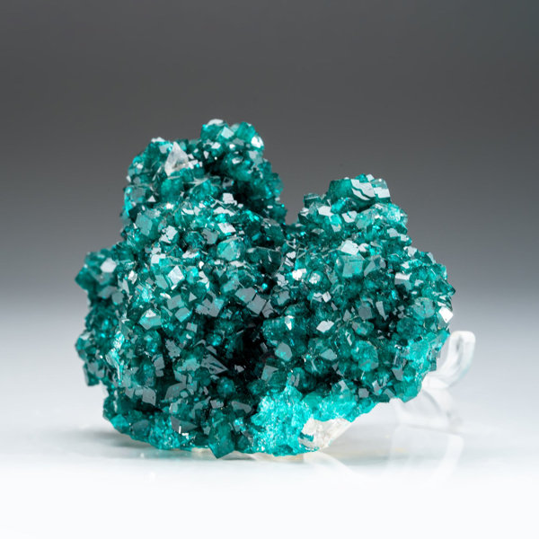 Astro Gallery of Gems Dioptase from Tsumeb Mine, Otavi-Bergland District, Oshikoto, Namibia (0. ...